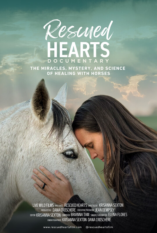 Rescued Hearts Film - FilmFreeway