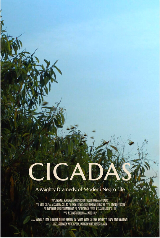 Cicadas - FilmFreeway