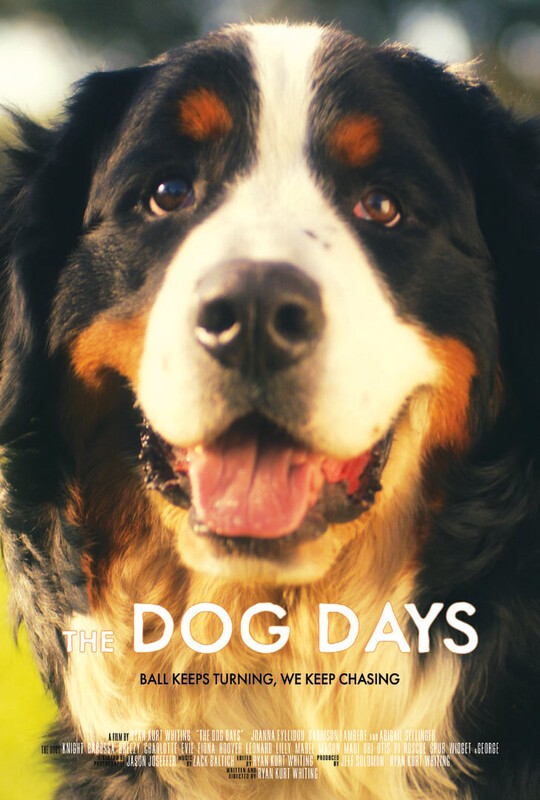 The Dog Days - FilmFreeway
