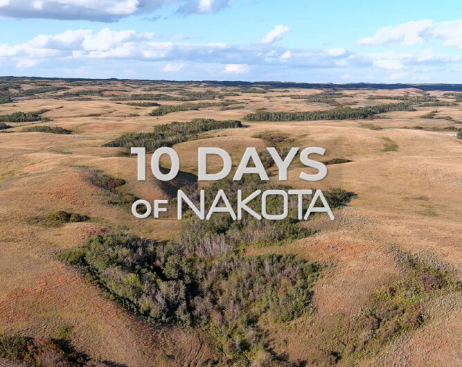 10 days of Nakota - FilmFreeway