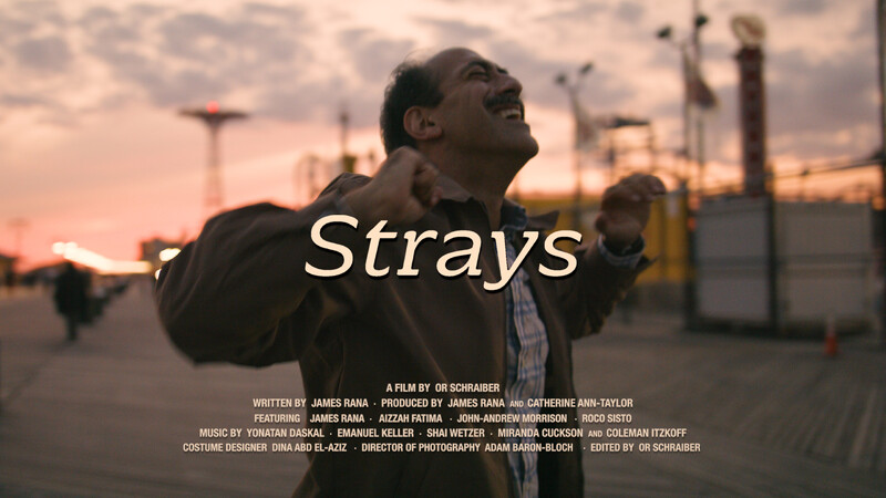 Strays - FilmFreeway
