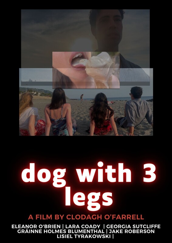 dog with 3 legs - FilmFreeway