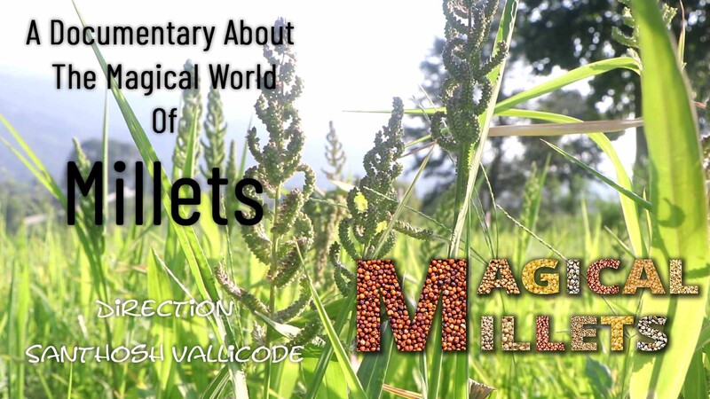 Magical Millets - FilmFreeway