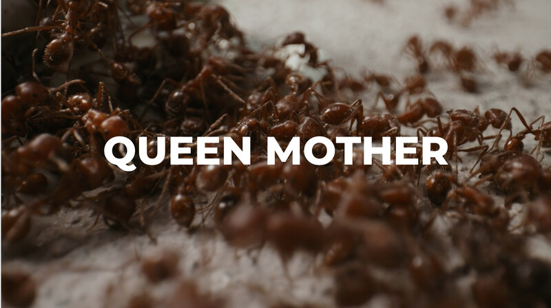 ANA LUISA HARTMANN HILGERT – NO DRAMA – 2024 - FilmFreeway