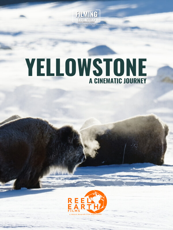 Yellowstone: A Cinematic Journey - FilmFreeway