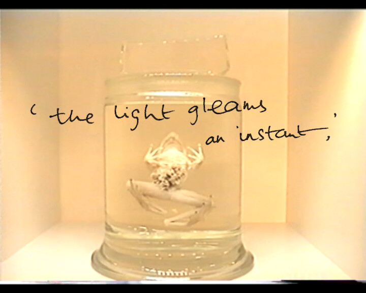 'the light gleams an instant,' - FilmFreeway