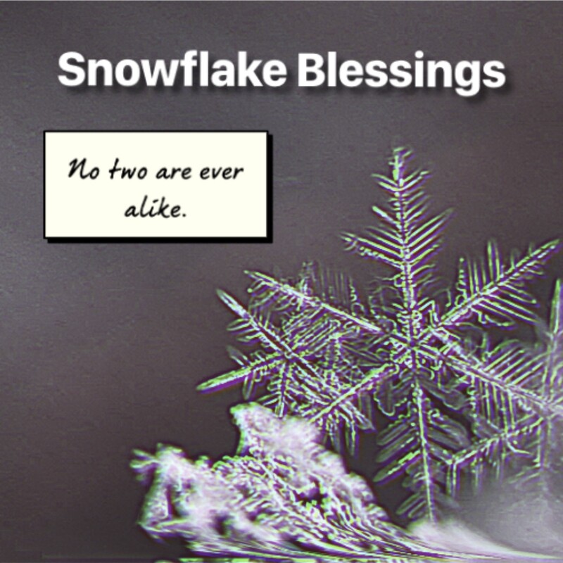Snowflake Blessings - FilmFreeway