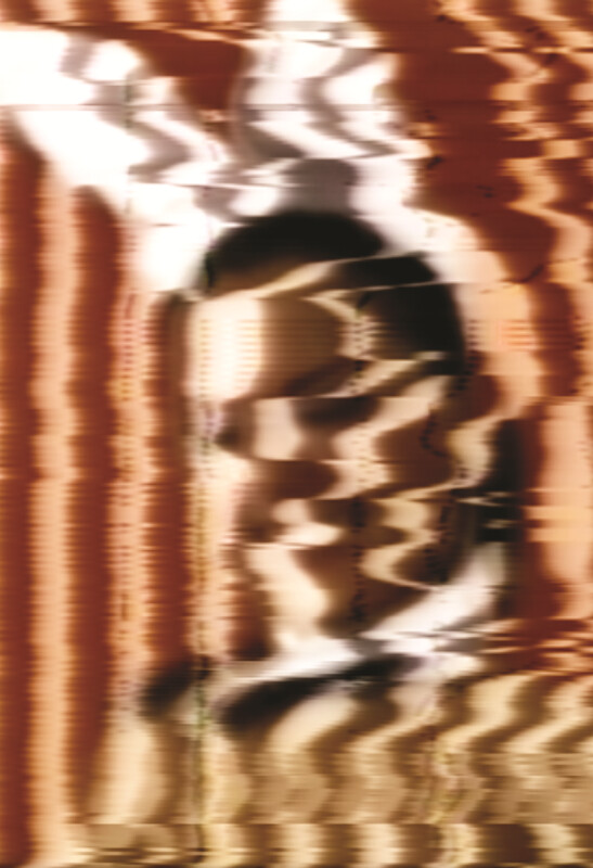 The Rabbit Always Dies - FilmFreeway