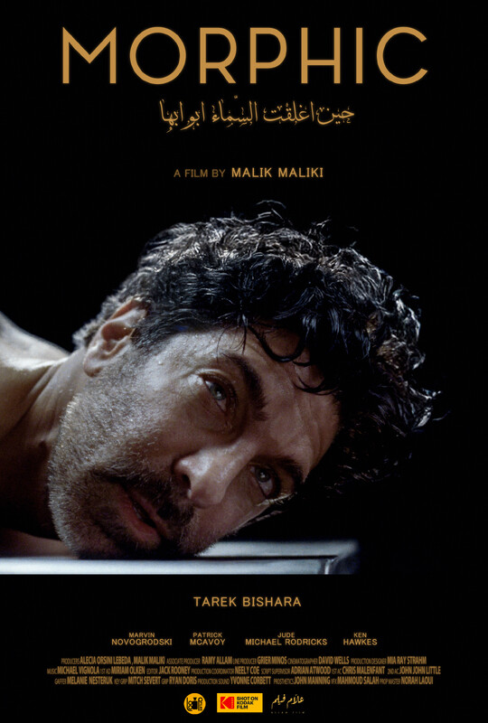 Morphic - FilmFreeway