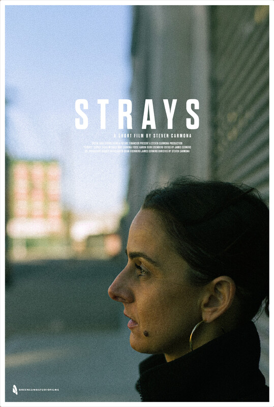 Strays - FilmFreeway