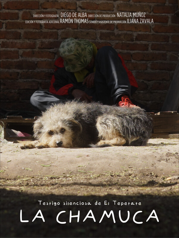 La Chamuca - FilmFreeway