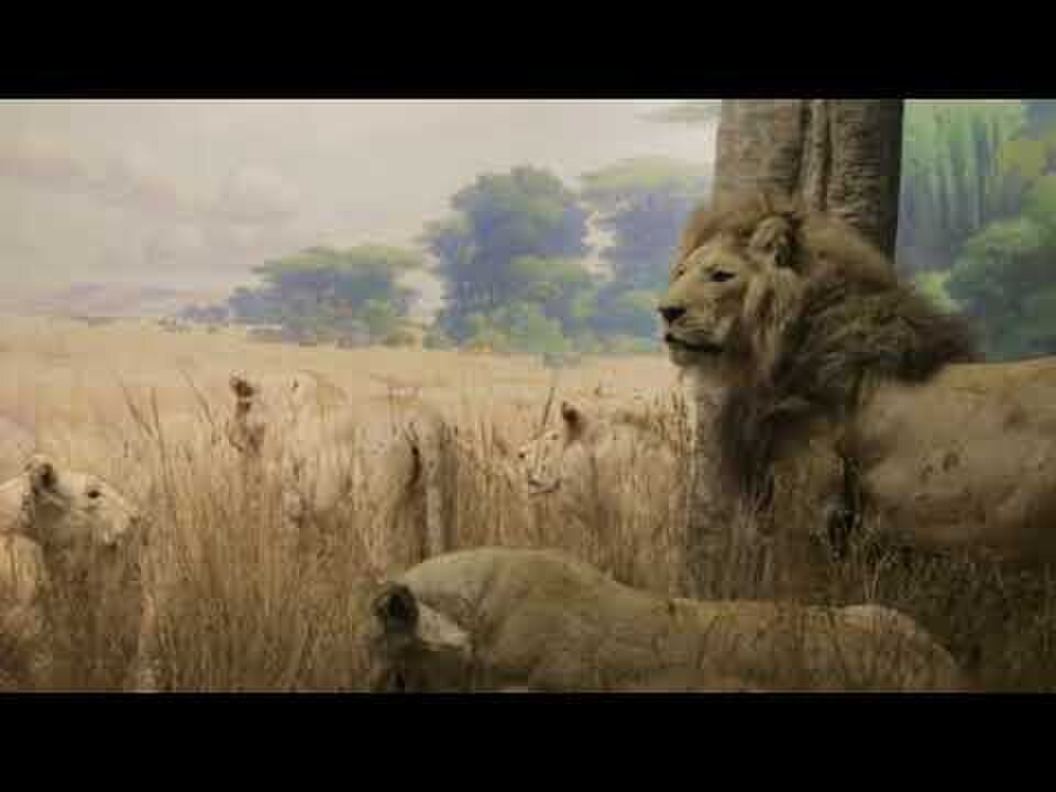 Curiosity and Control - FilmFreeway