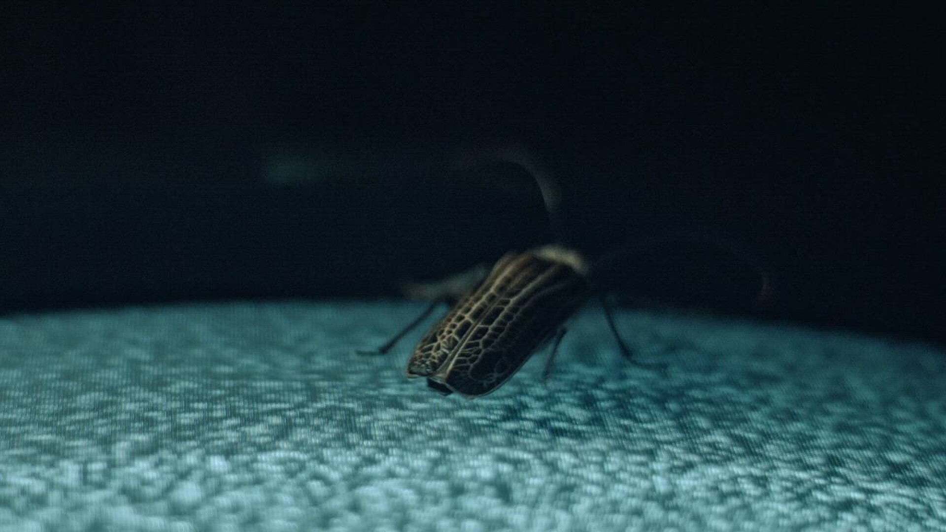 Parallax Of The Liminal Void - FilmFreeway