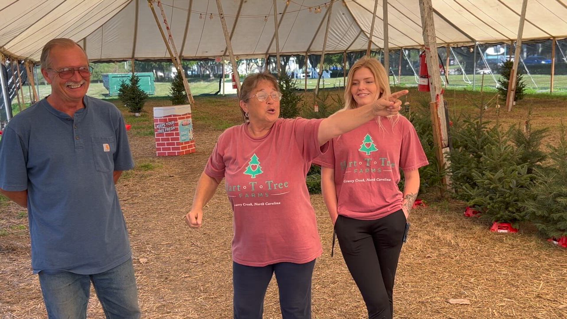 The Joys of a Christmas Tree Draft 1 - FilmFreeway