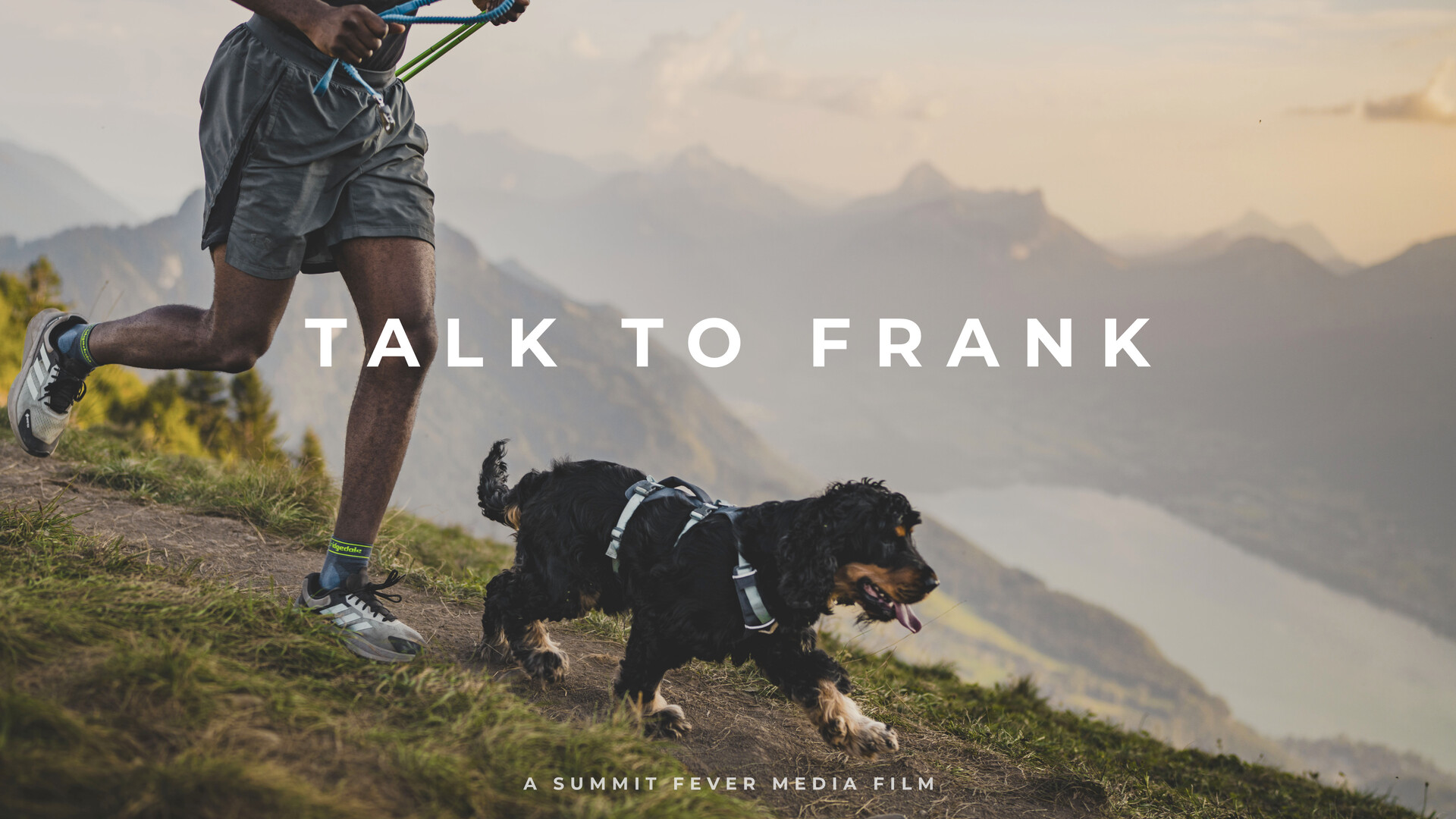 Talk To Frank - FilmFreeway