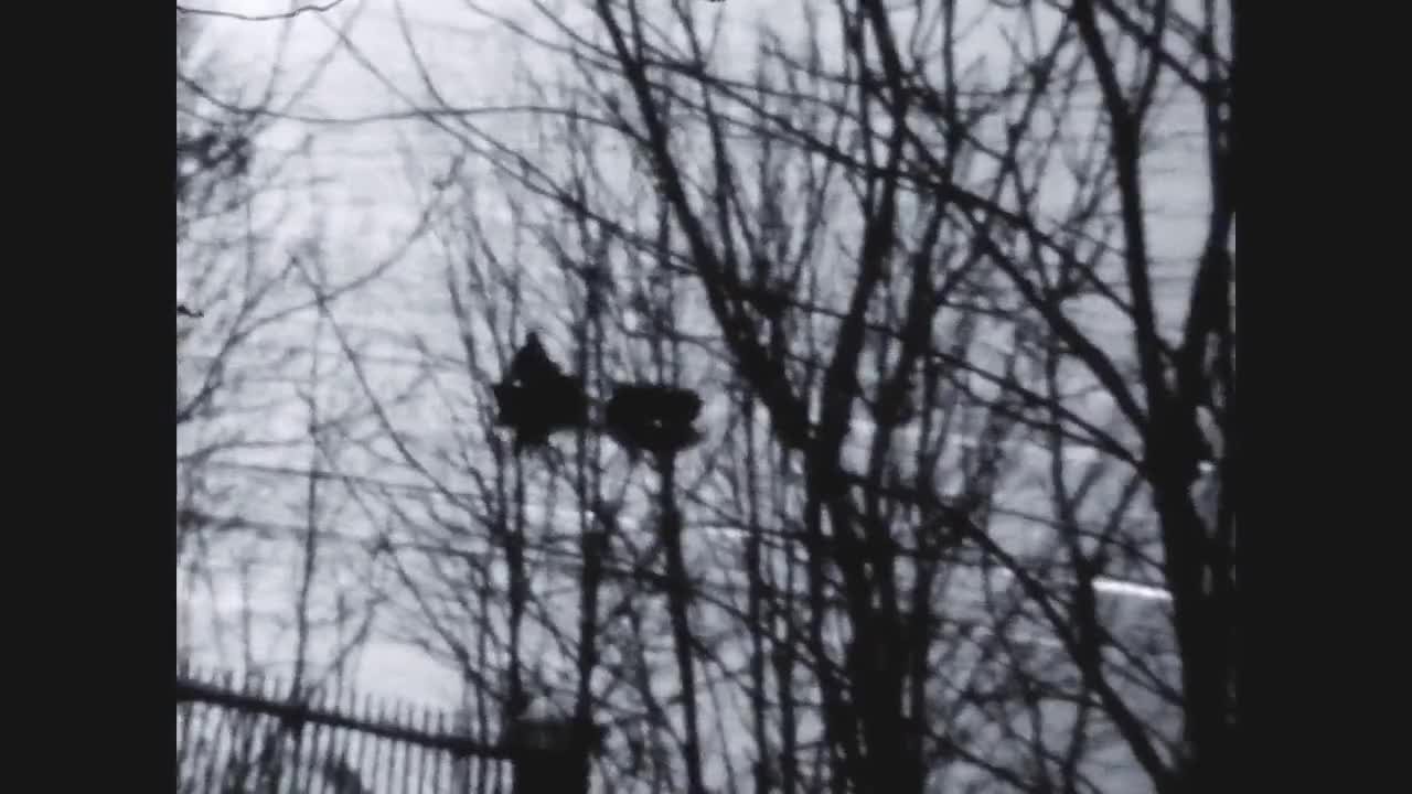 HERMIT - FilmFreeway