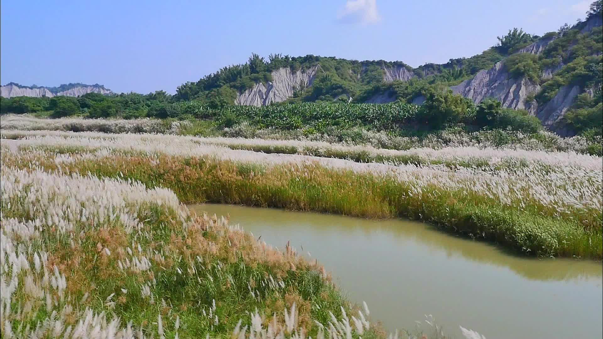 Water-the source of all life - FilmFreeway