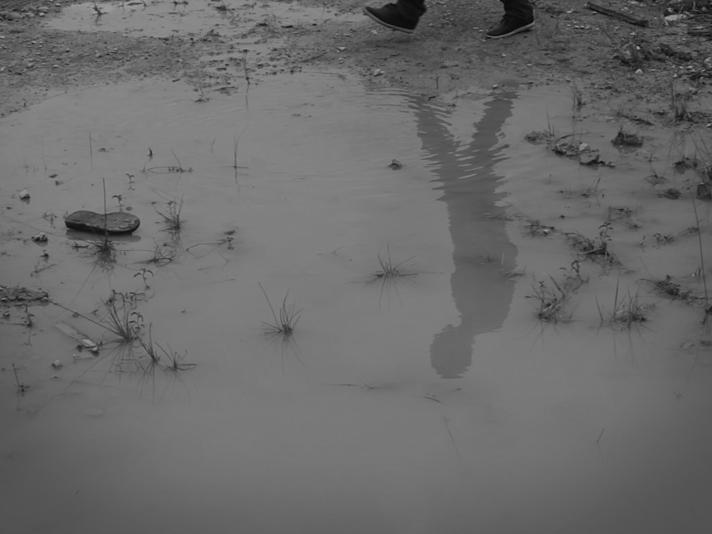 ALIENATION - FilmFreeway