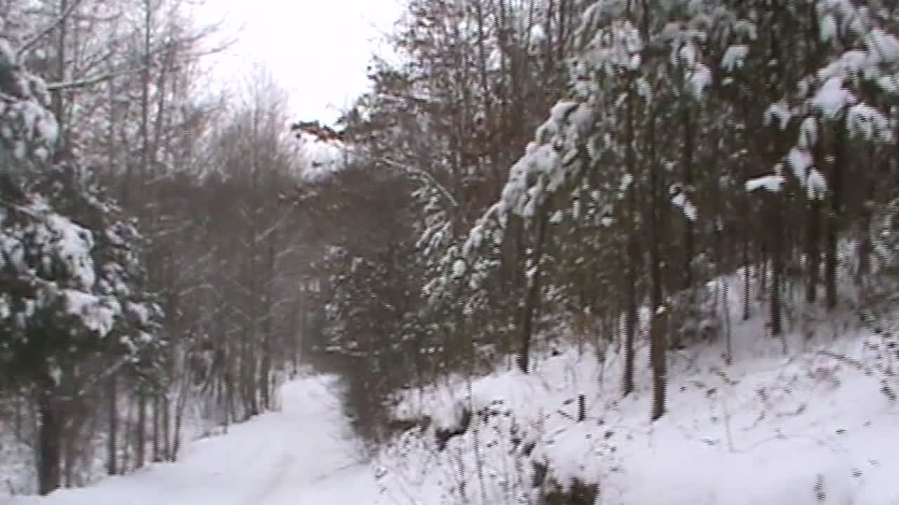 WHITLEY-TINA_WAR-IS-NOT-PRETTY - FilmFreeway