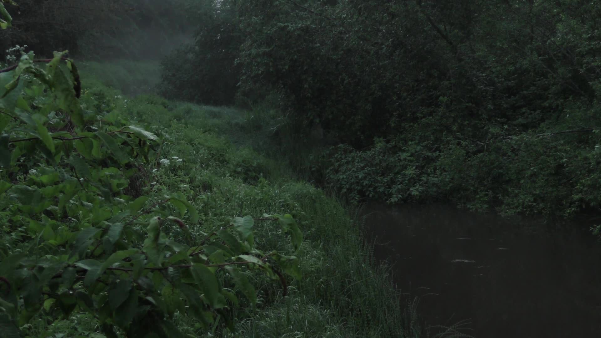 Driplets - FilmFreeway