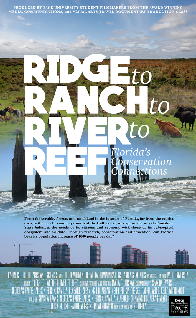 Ridge to Ranch to River to Reef: Florida's Conservation Connections ...