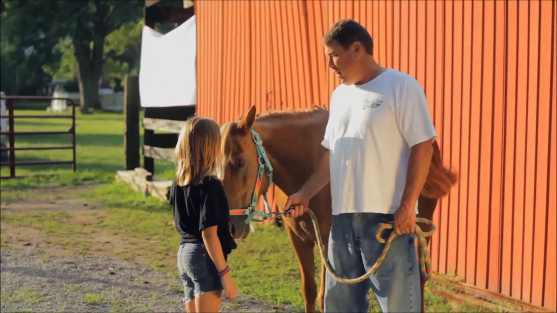 Ride it Out- A Song for Slaughter-Bound Horses - FilmFreeway