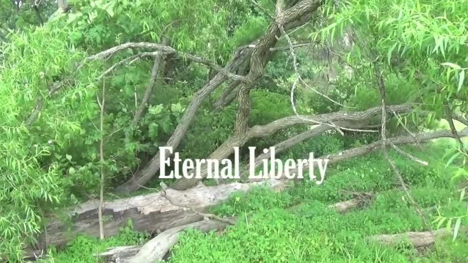 Eternal Liberty by Héda Rose - FilmFreeway