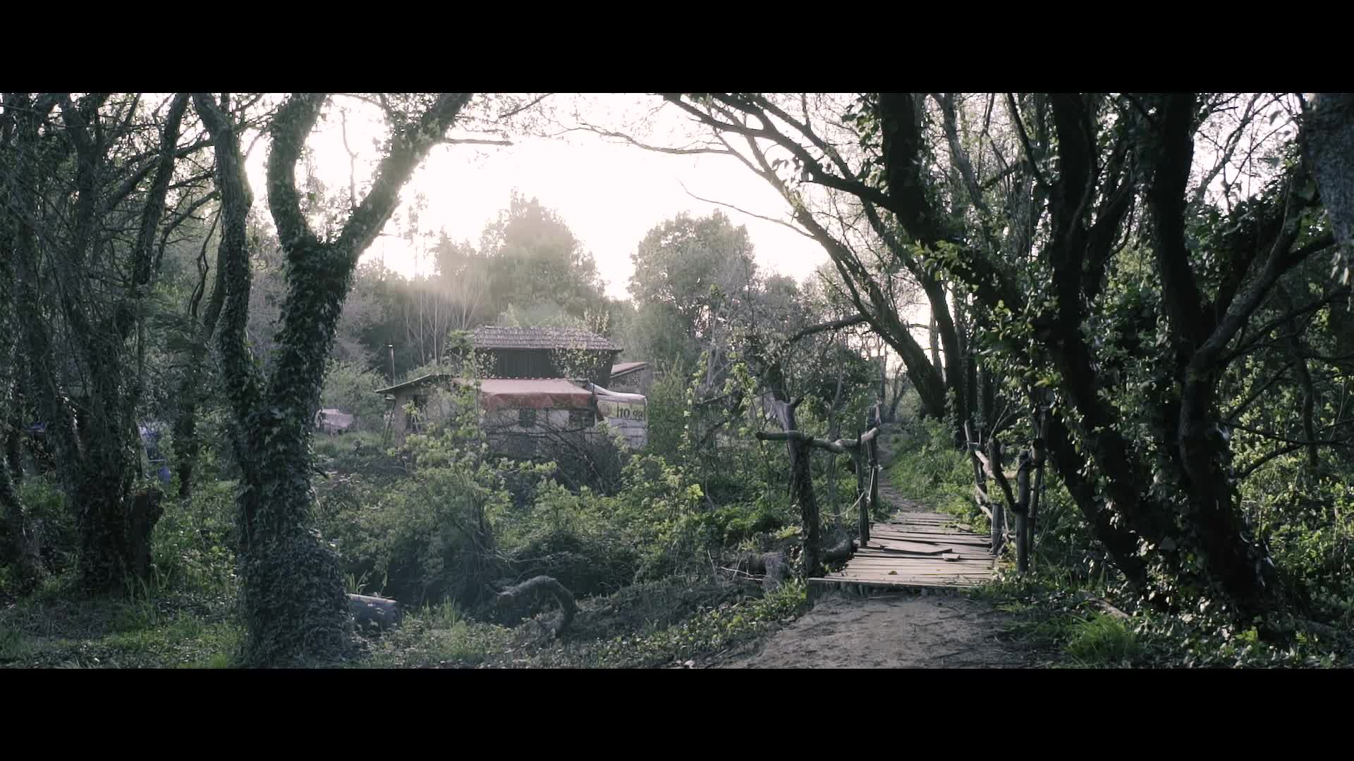 An Ant - FilmFreeway