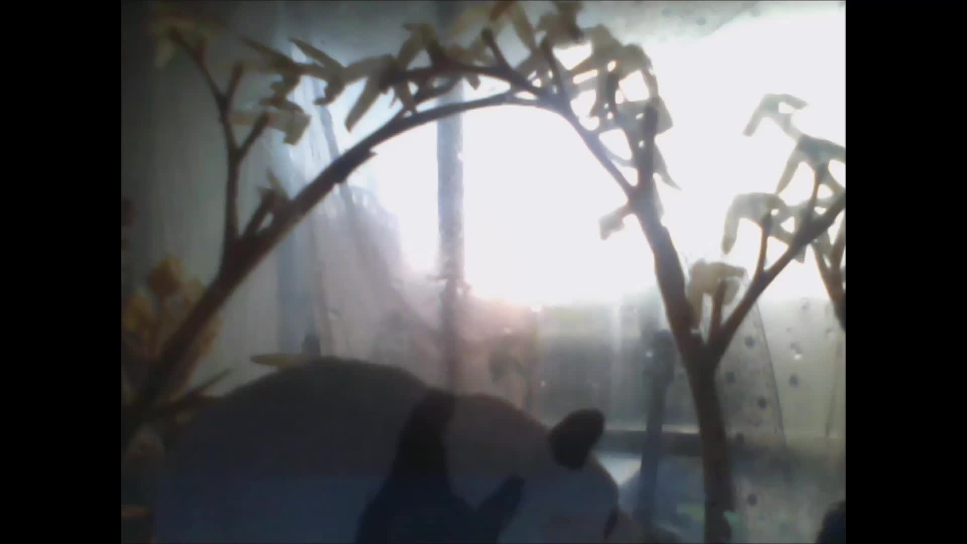 THE KING FILM SERIES, EPISODE FOR 9/27/2017 - FilmFreeway