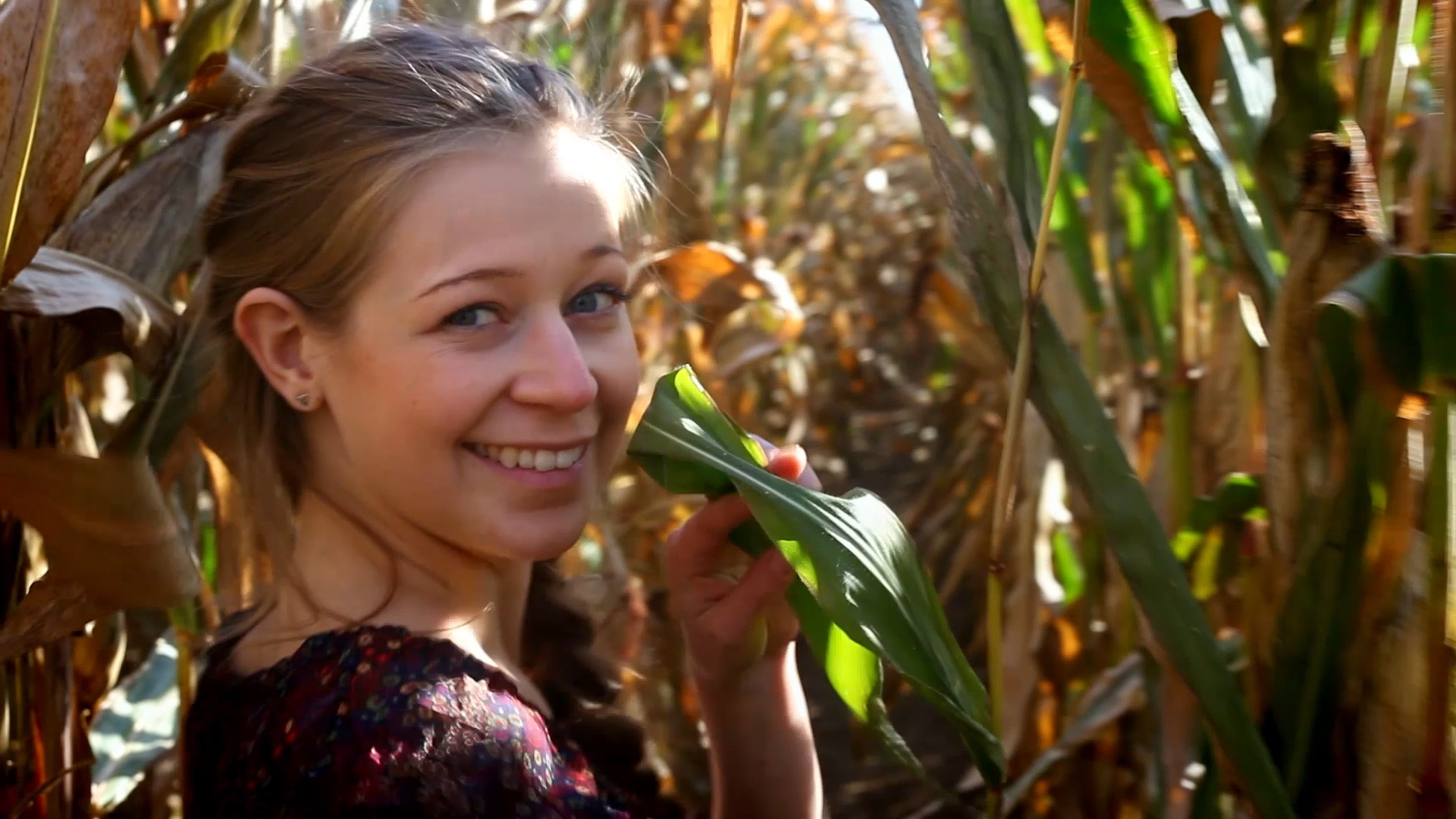 The Secret and Silent Treasures of Life - FilmFreeway