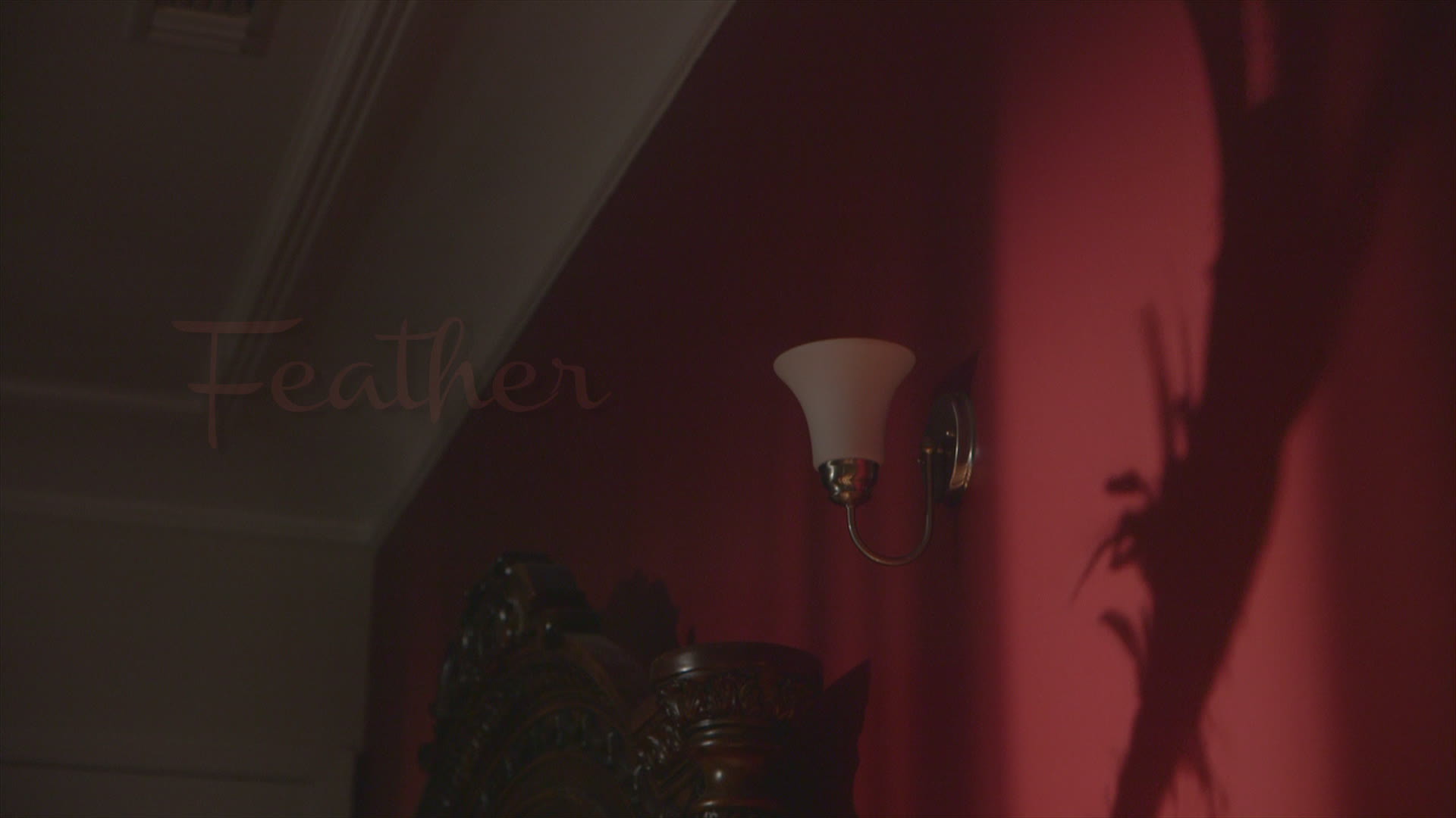 Feather - FilmFreeway