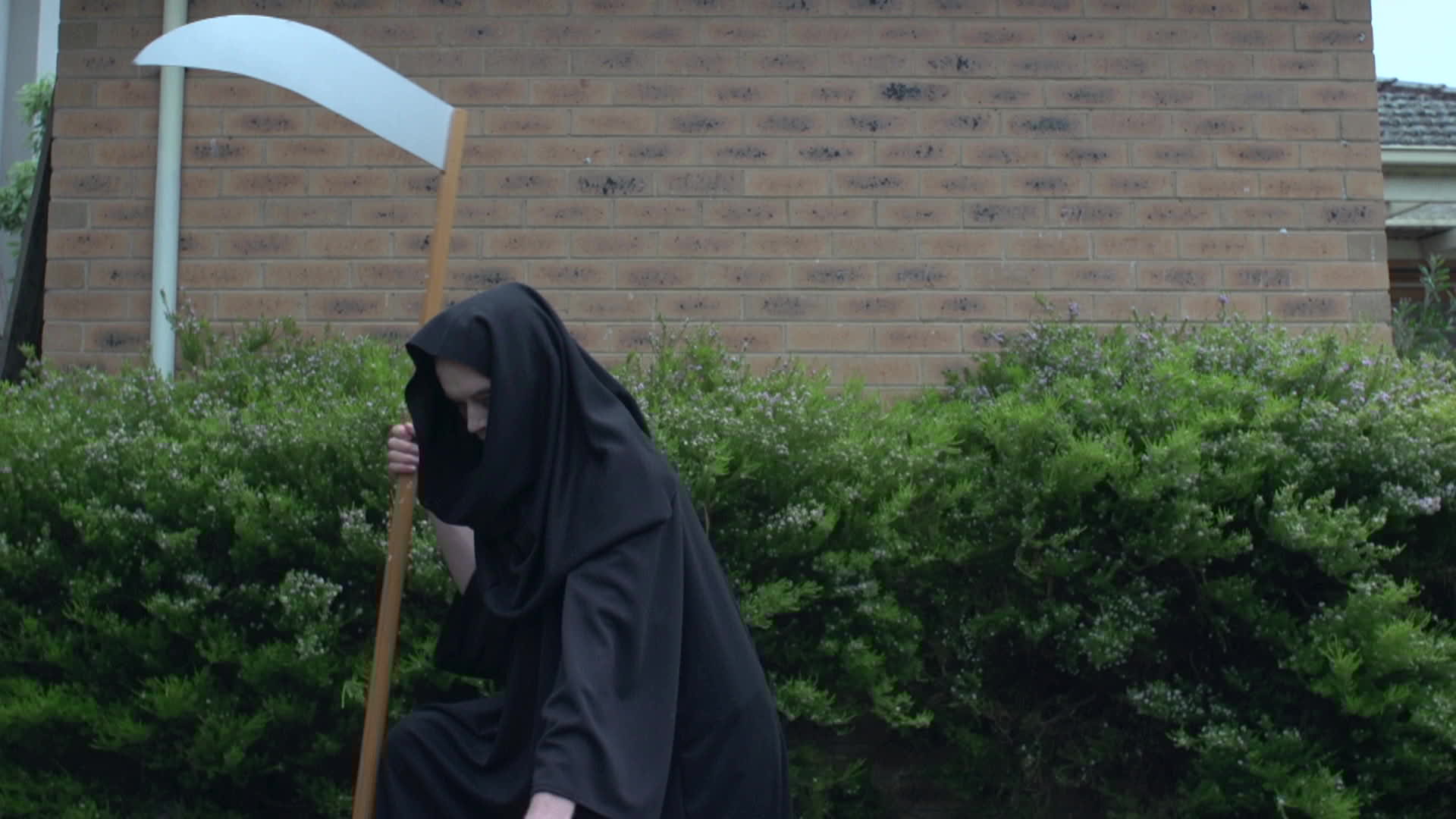 Mortality - FilmFreeway