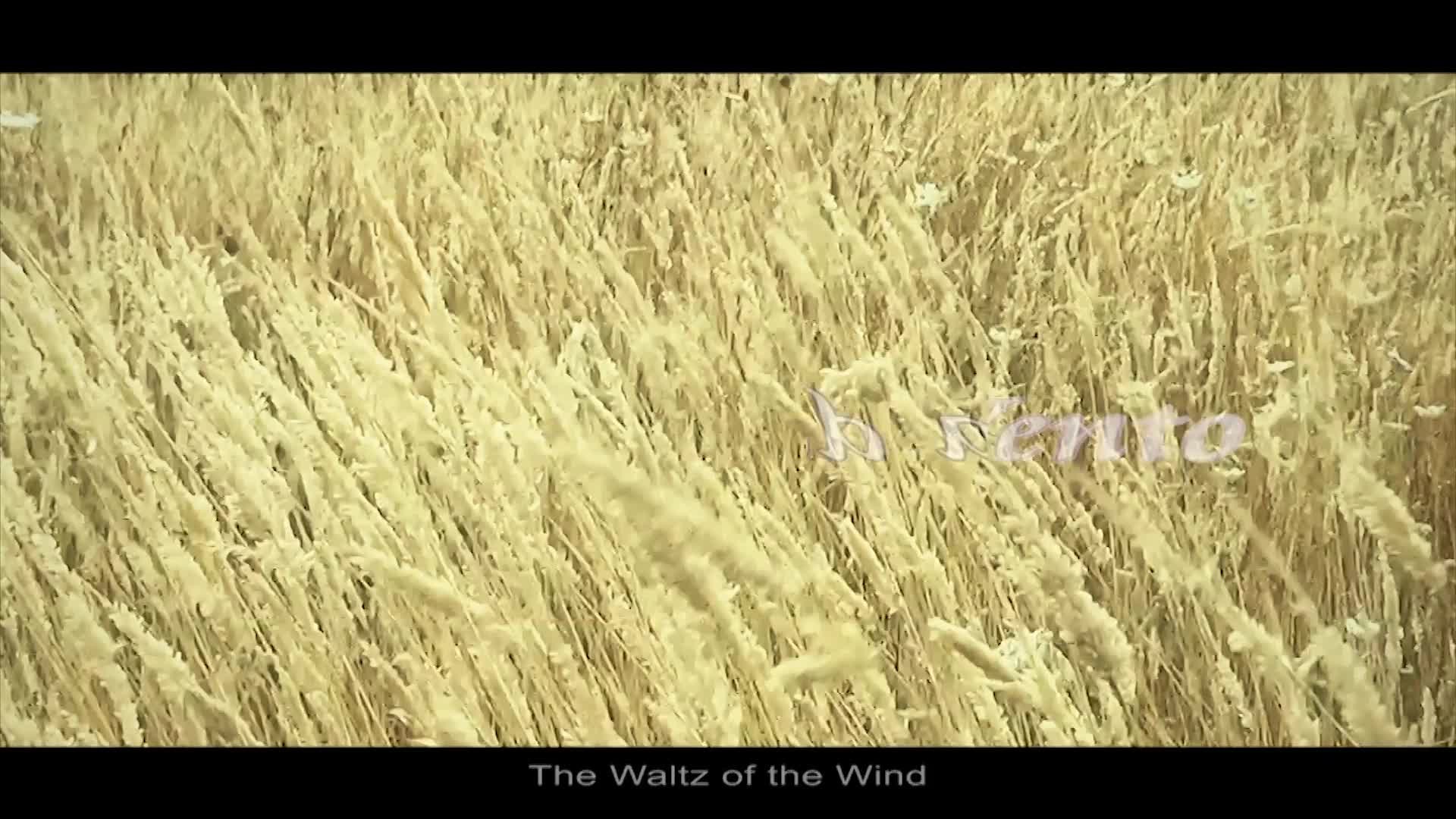 The Waltz of the Wind - FilmFreeway