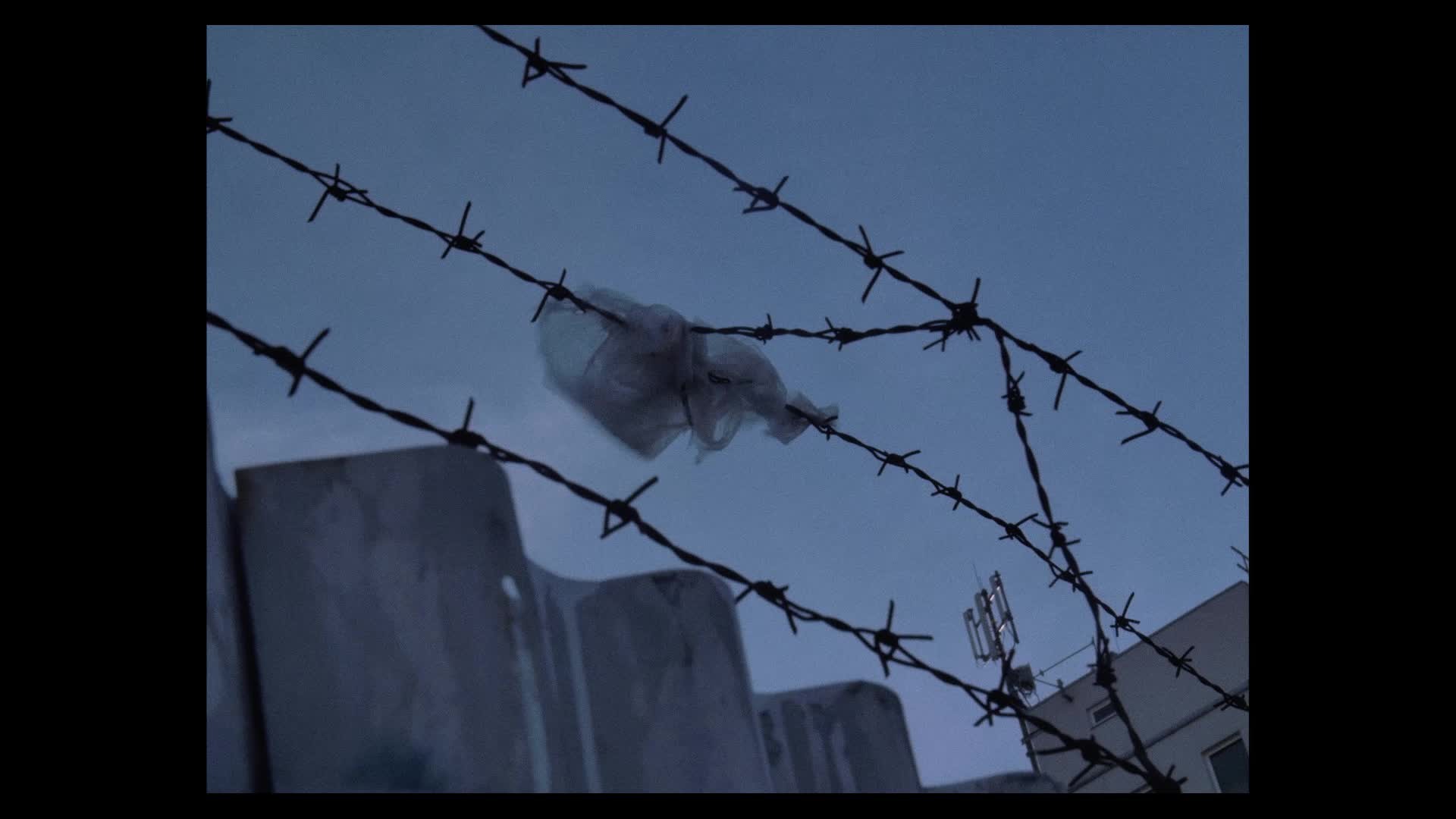 Panel Run - FilmFreeway