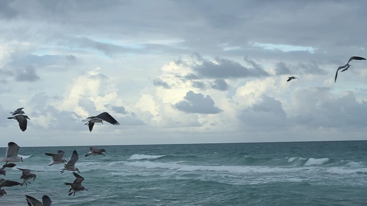 Flying to Nowhere (1 minute) - FilmFreeway