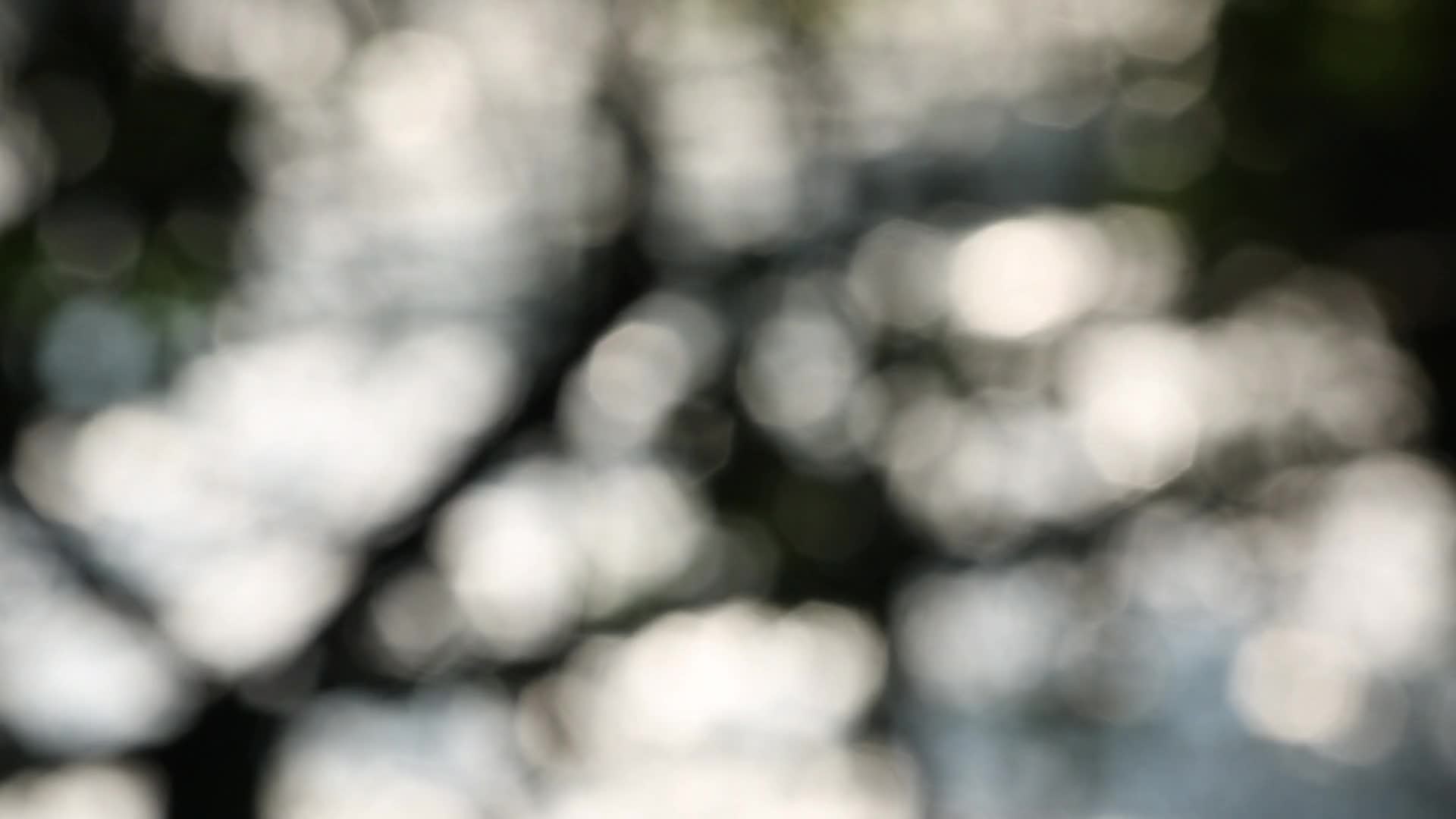 DECODING SHANKAR - FilmFreeway