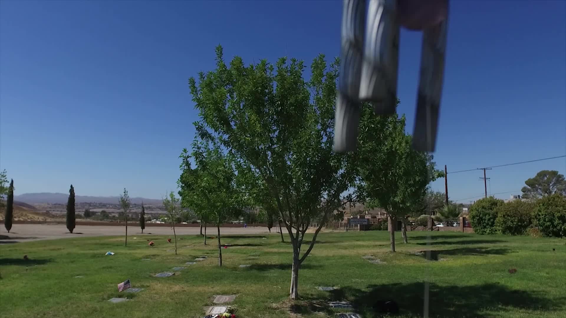 The Club That No One Wants to Belong To -- A Family Stuggles & the ...