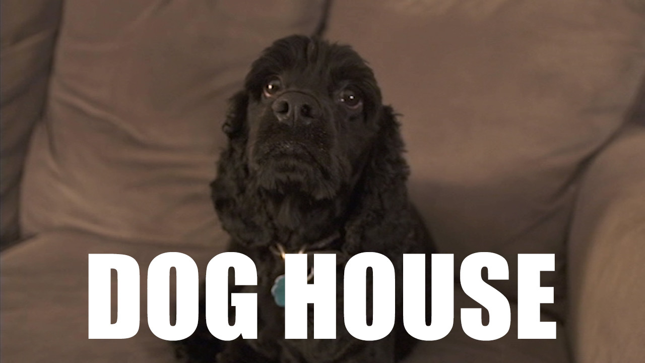 Dog House - FilmFreeway