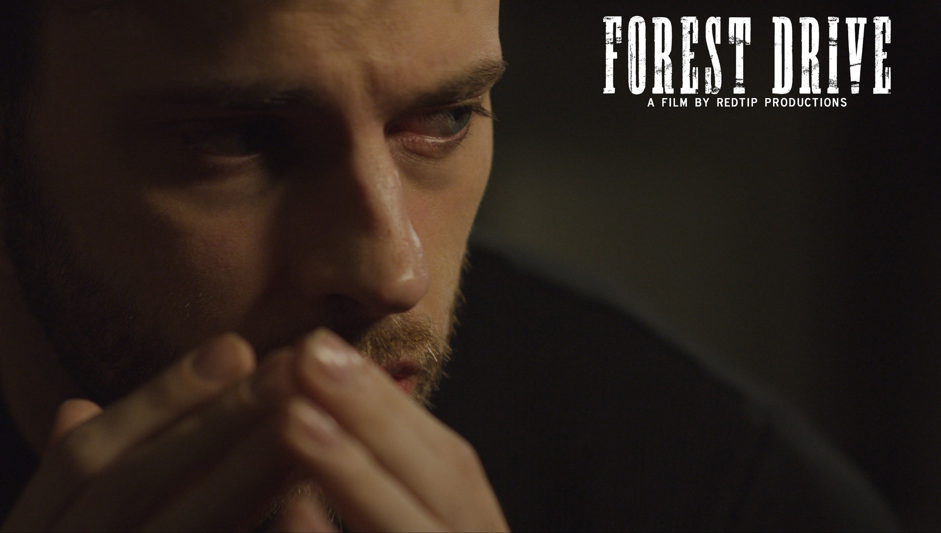 Forest Drive - FilmFreeway