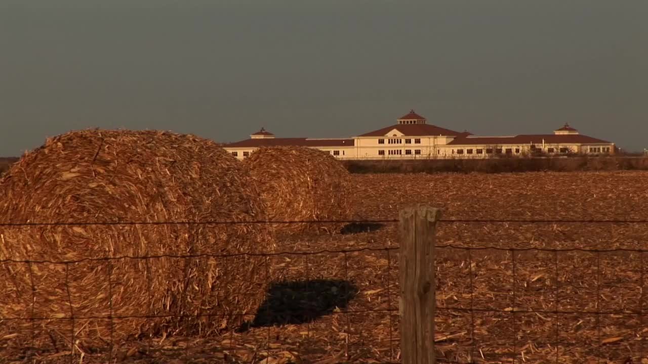 Peace Rising - FilmFreeway