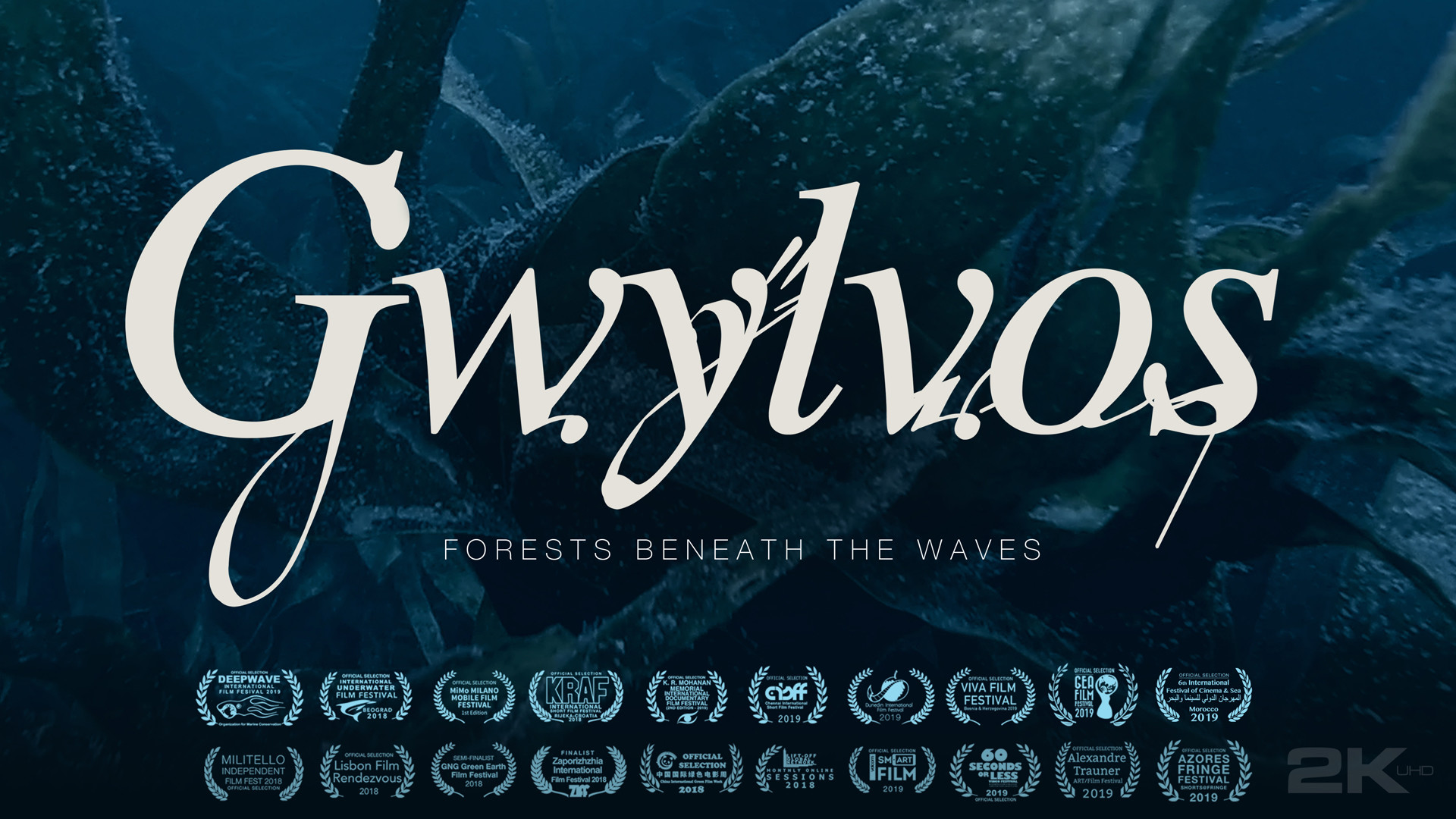 Gwylvos; Forests Beneath the Waves - FilmFreeway