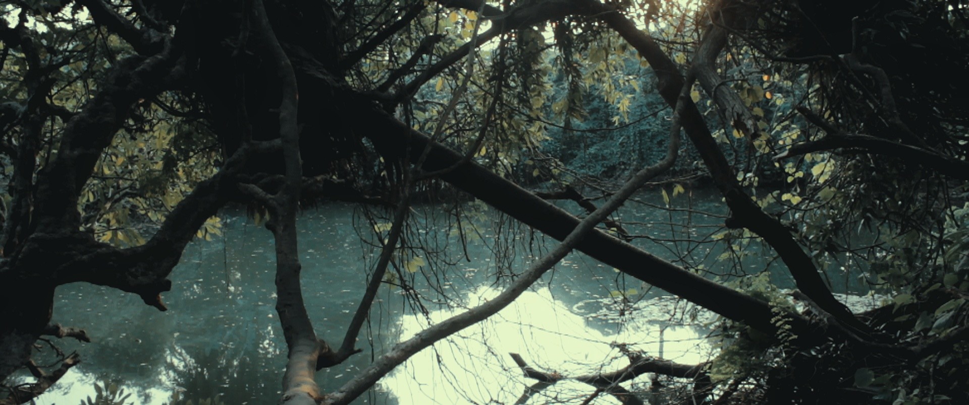 UTOPIA OVERTURE - FilmFreeway