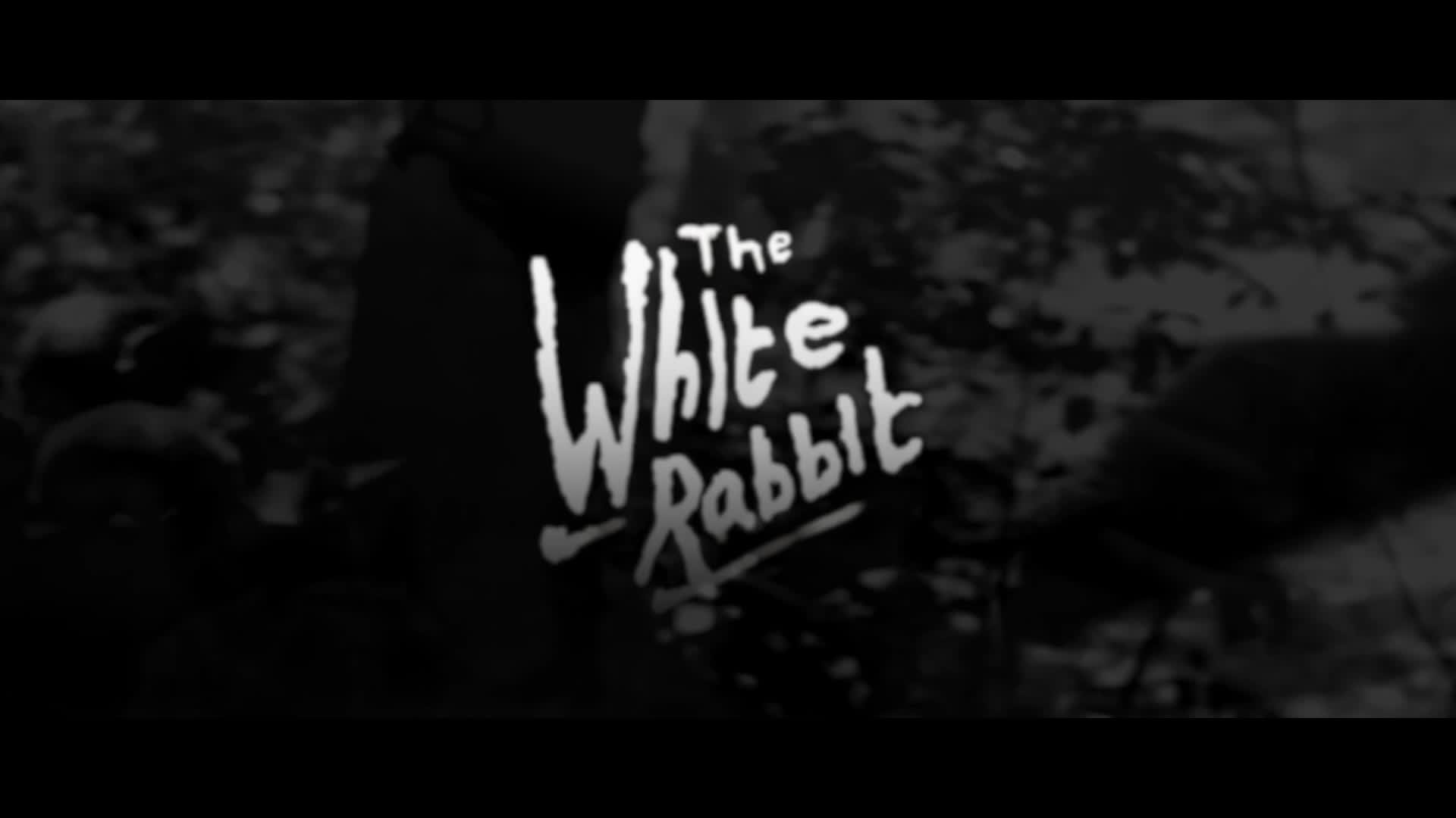 The White Rabbit FilmFreeway the-white-rabbit-filmfreeway