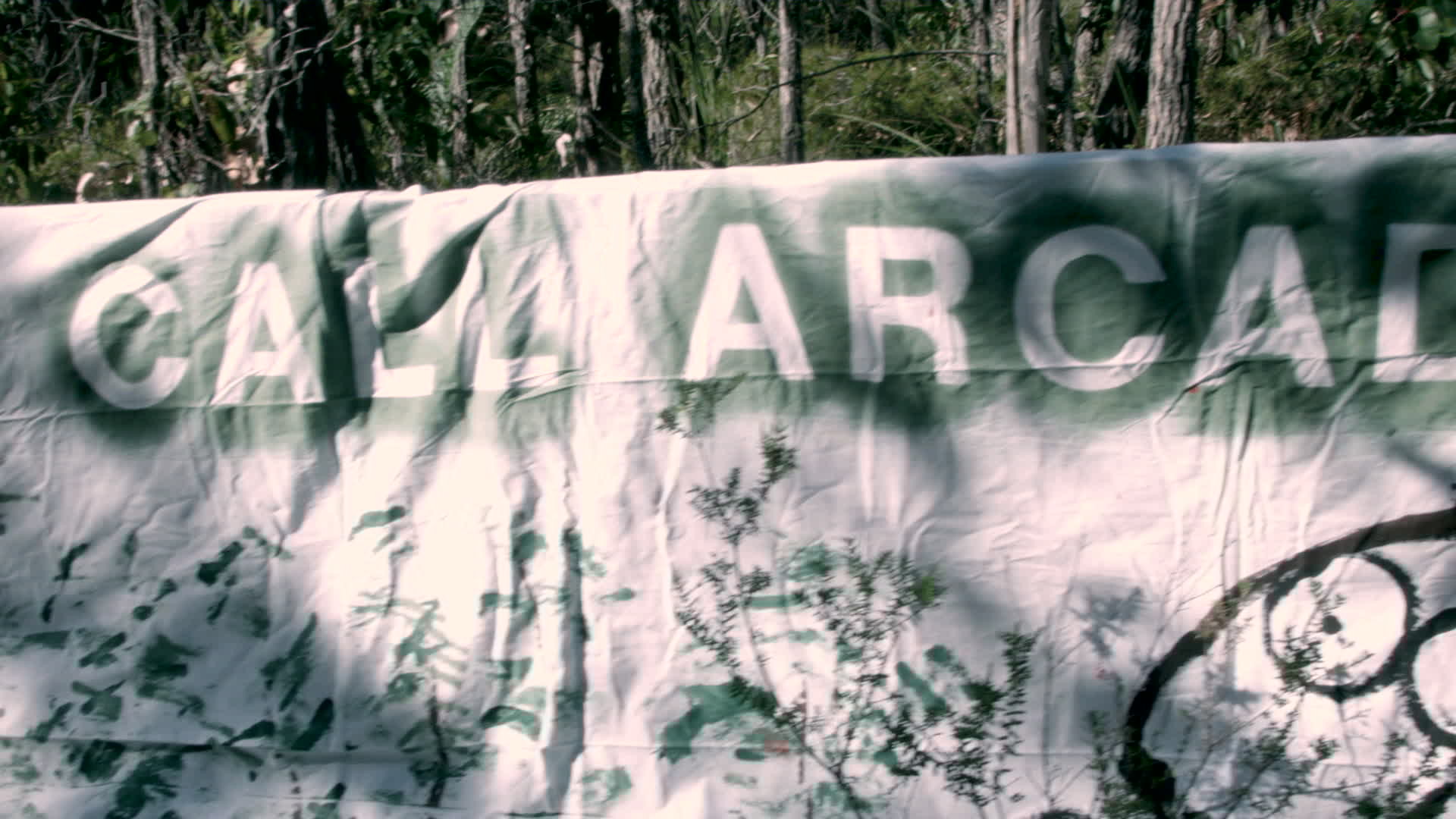 Lifetime Guarantree - FilmFreeway