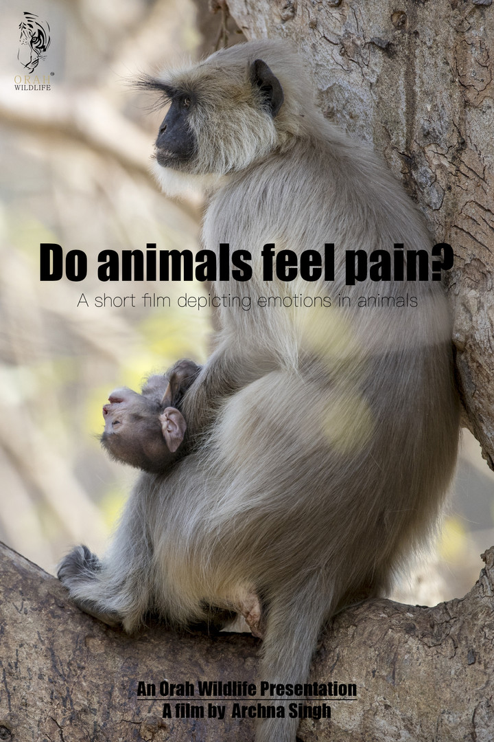 Do Animals Feel Pain? - FilmFreeway