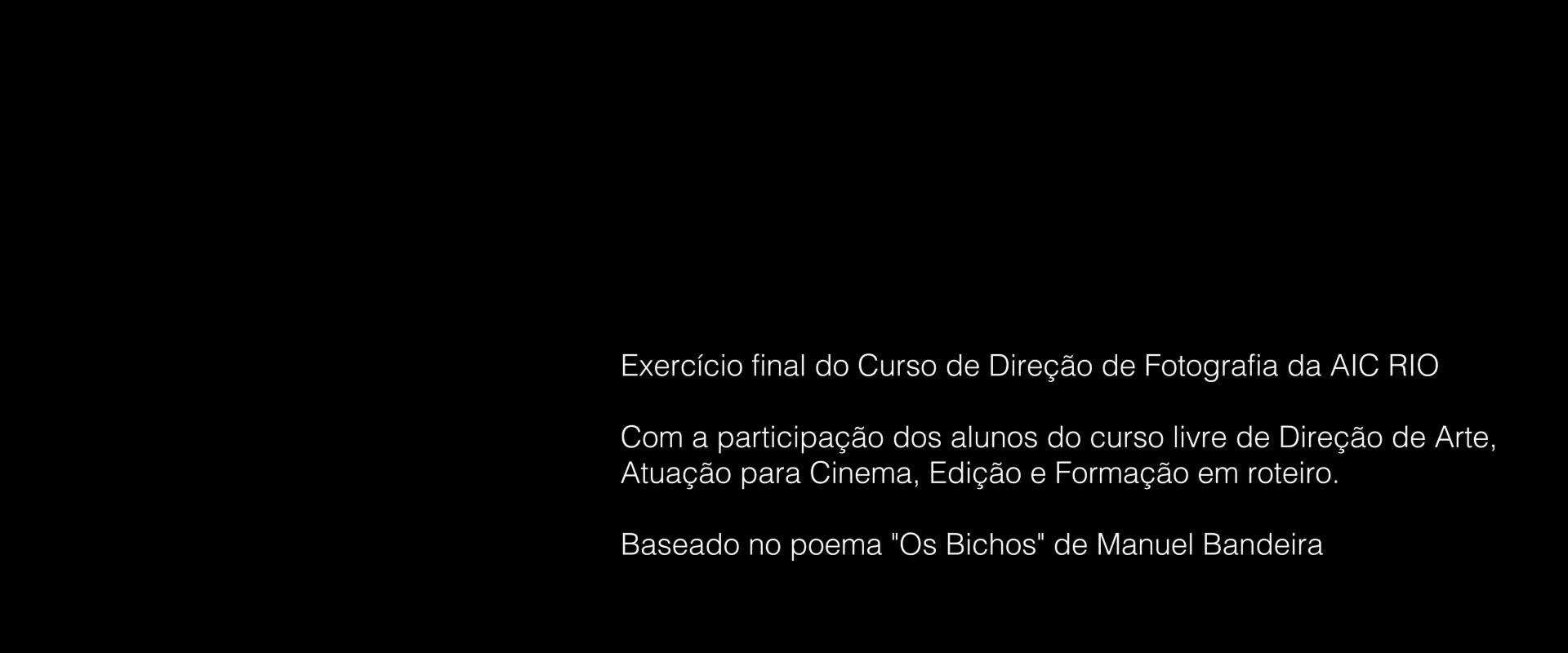 The Bugs - FilmFreeway