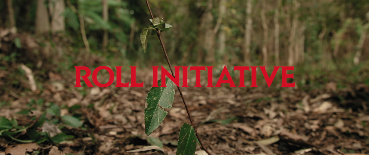 Roll Initiative - FilmFreeway