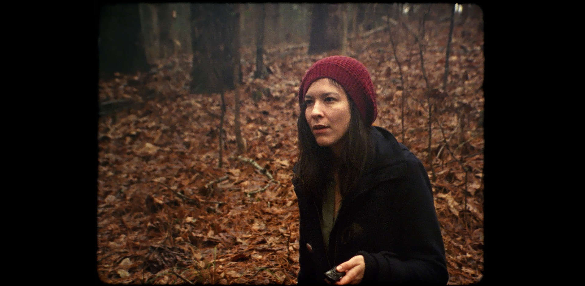 Sounds of the Forest - FilmFreeway