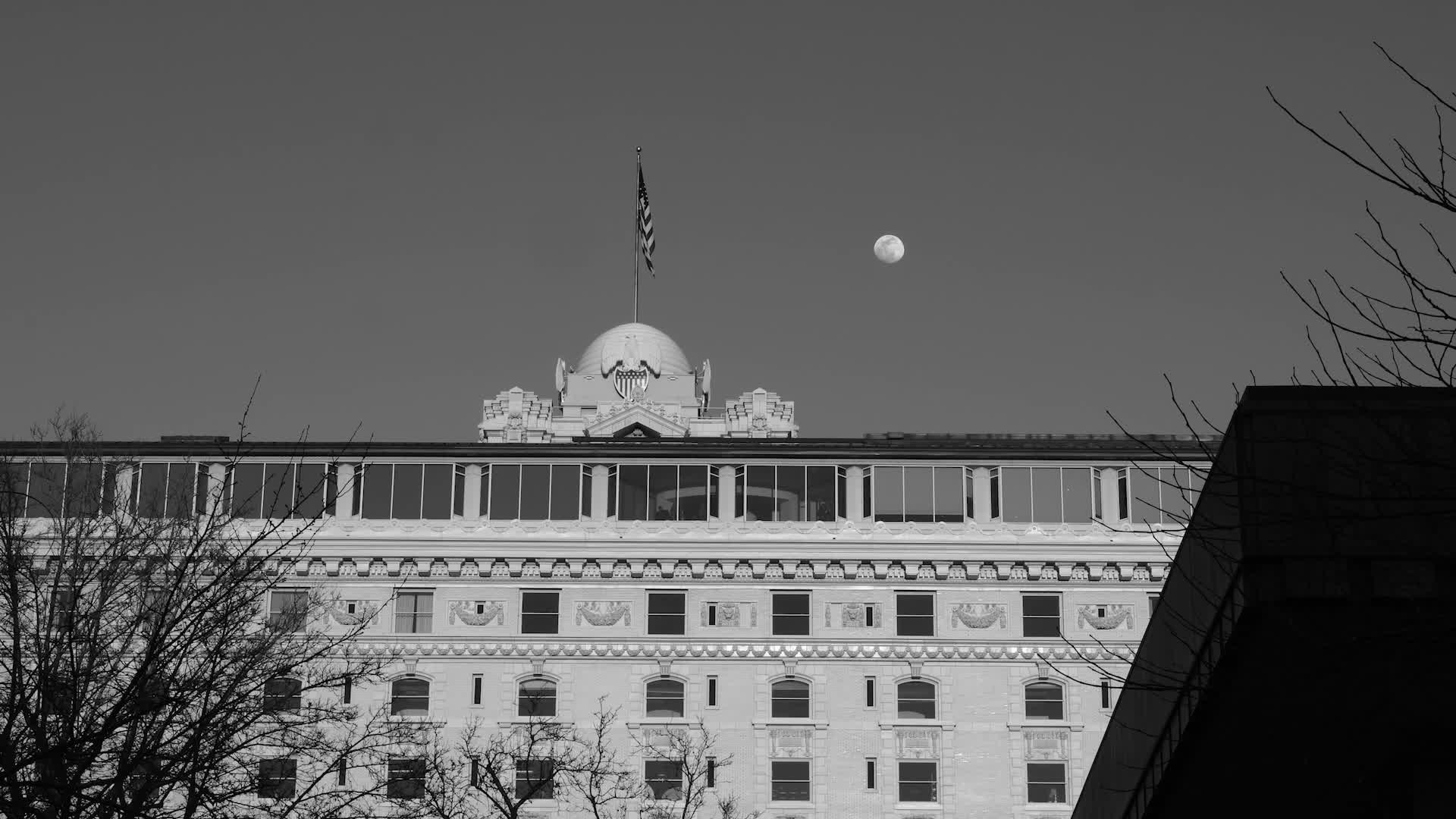 Deep Blue City - FilmFreeway