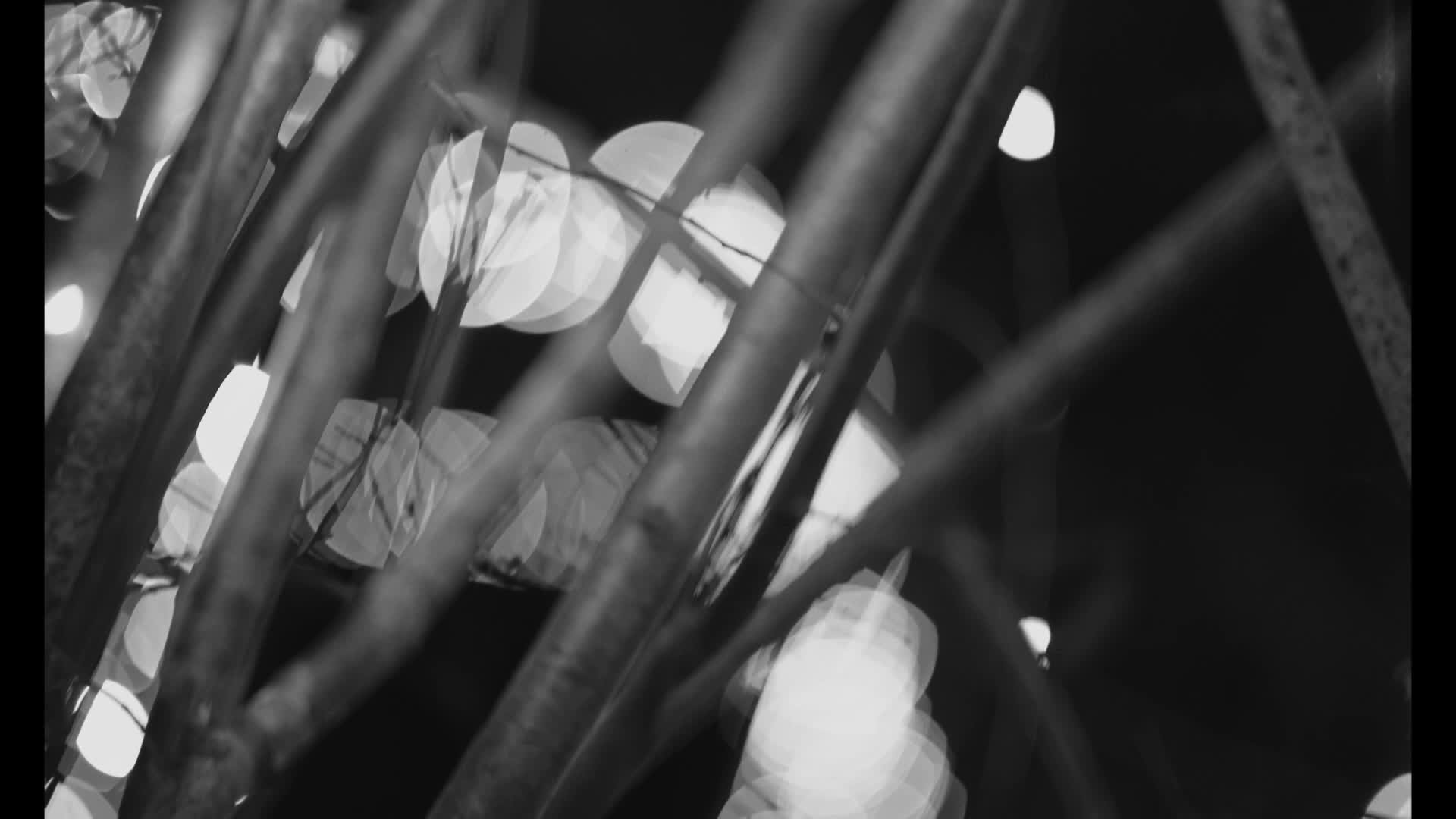 La couleur du vent - FilmFreeway